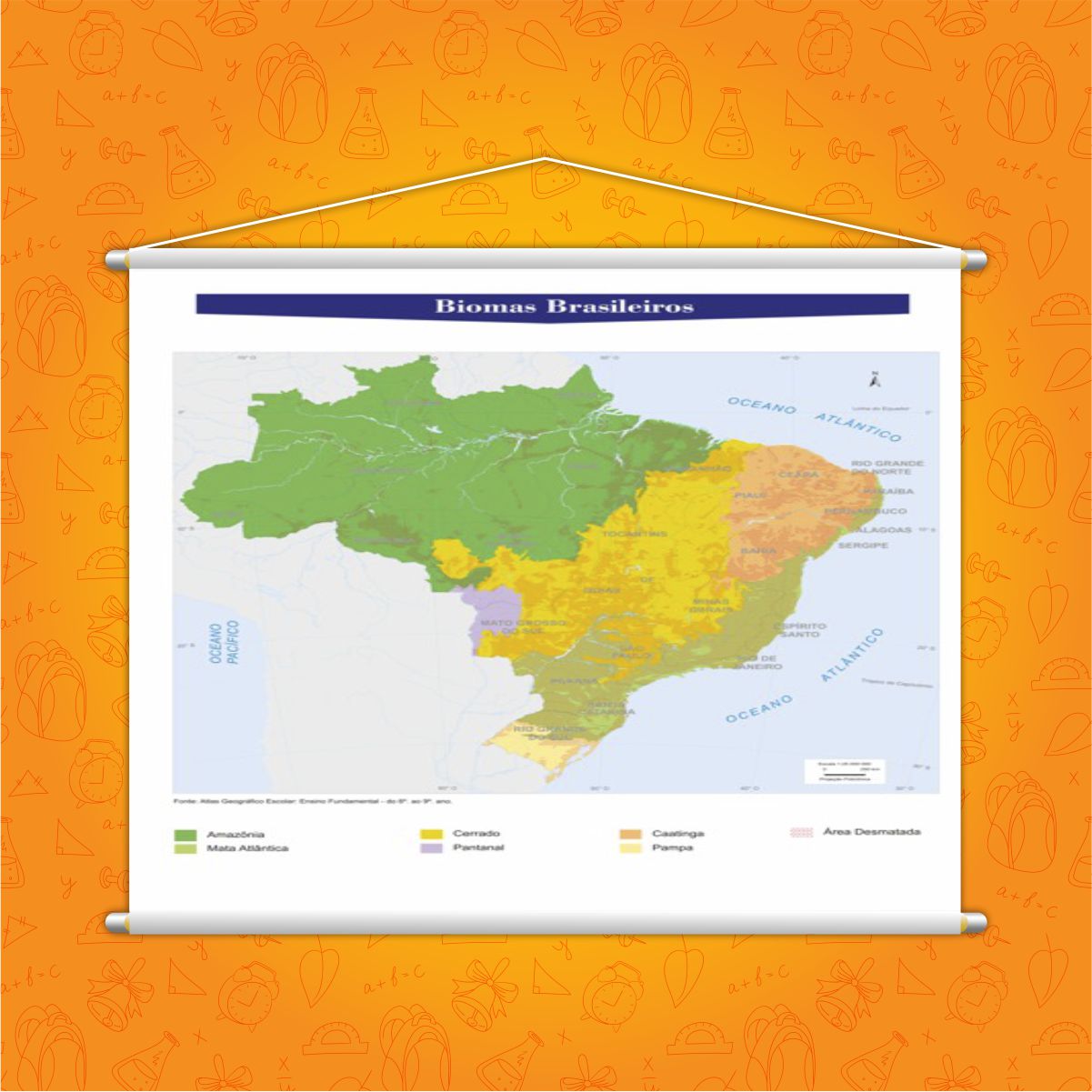 Banner Escolar Mapa Biomas Brasileiros 130x100cm - Loja PlimShop