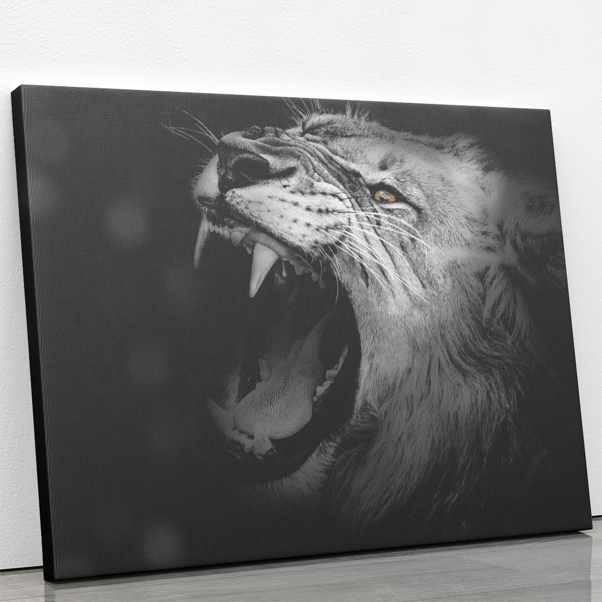 Leao Rugindo Vídeo De Leao Rugindo | TikTok